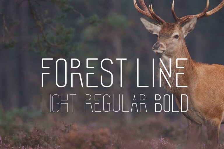 25+ Best Line Fonts With Creative Letterforms | Design Shack