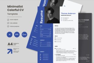 25+ Best Canva Resume & CV Templates | Design Shack
