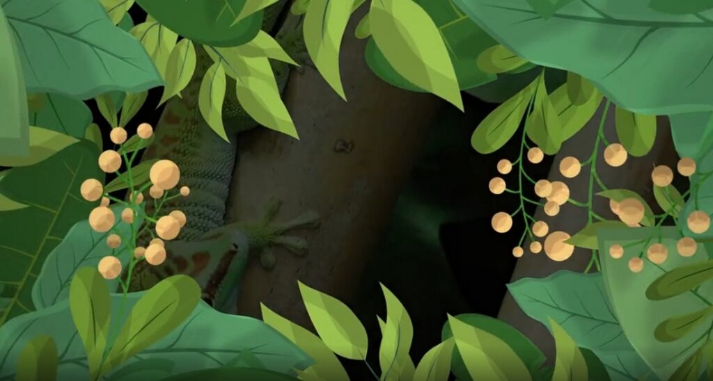 Making Holly Wood Style Intro Premire Easy - Graig Froule