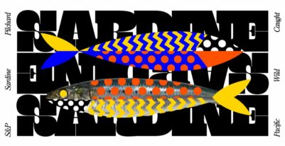 24+ Top Graphic Design Trends for 2024 | Design Shack