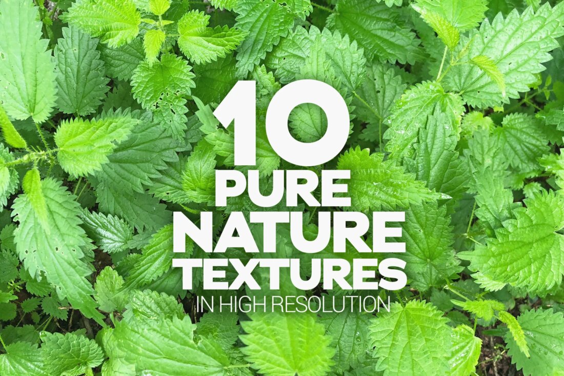 20+ Best Jungle & Forest Textures, Patterns & Backgrounds | Design Shack