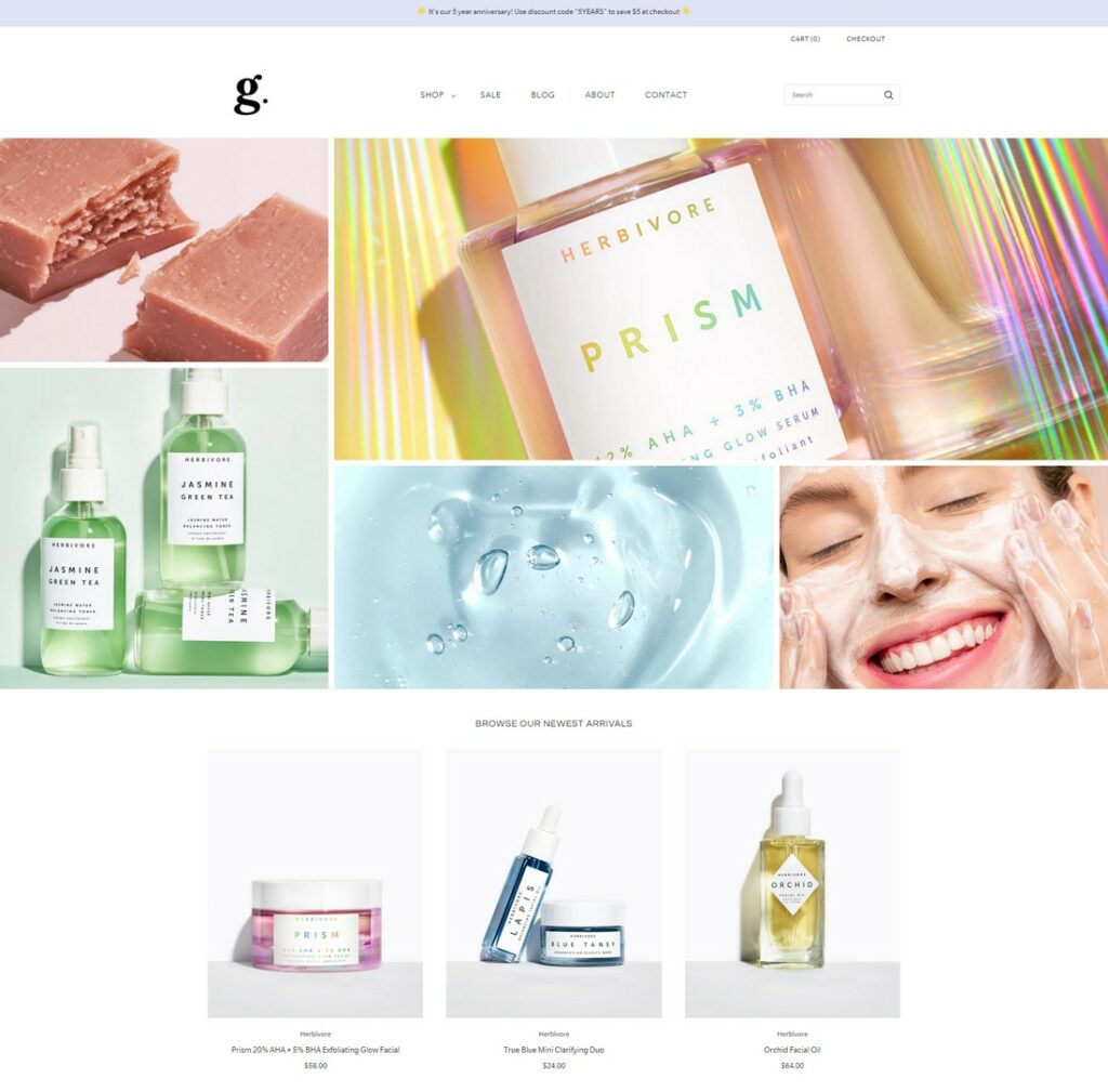 17+ Minimal Shopify Themes With Clean & Minimalist Design | Design Shack