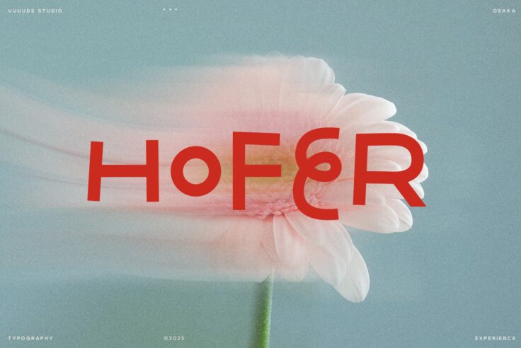45+ Best Ligature Fonts for Harmonious Designs (Free & Pro) | Design Shack