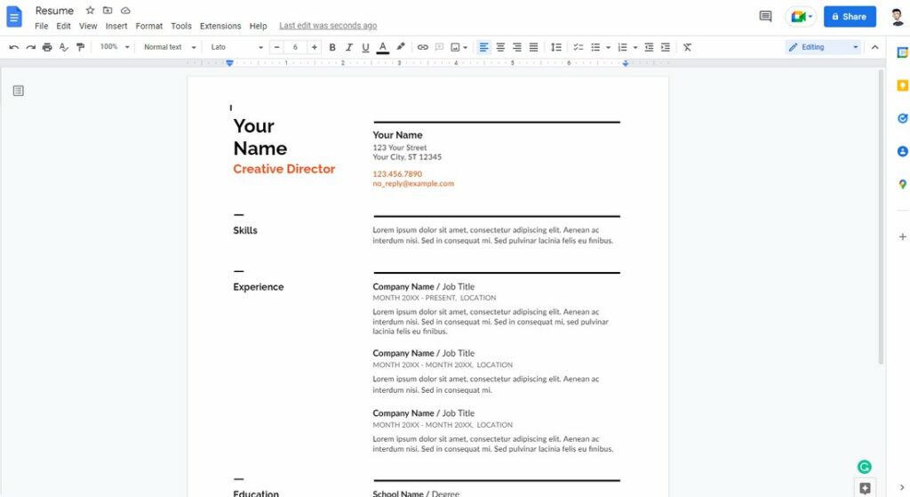 20+ Modern Google Docs Resume Templates 2025 | Design Shack