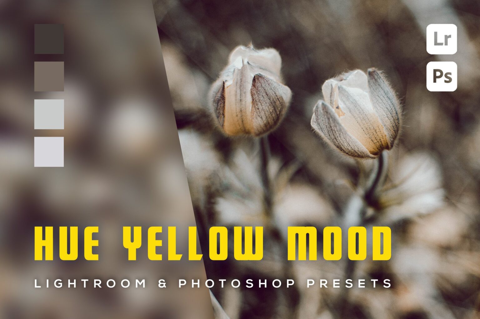 40+ Top Color Grading Lightroom Presets (Free & Pro) | Design Shack