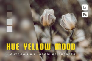 40+ Top Color Grading Lightroom Presets (Free & Pro) | Design Shack