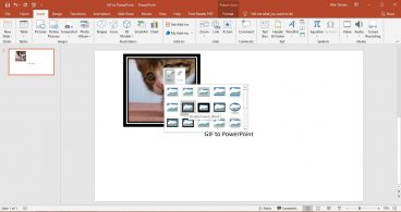 How to Insert a GIF Into PowerPoint | Design Shack