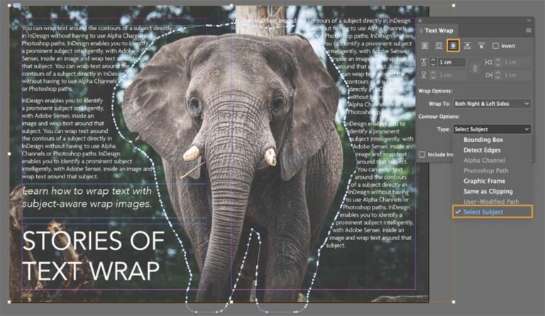 What Is Adobe InDesign (And What Is It Used For?) | Design Shack