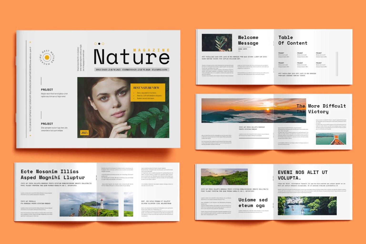 75+ Best InDesign Magazine Templates 2024 (Free & Premium) | Design Shack