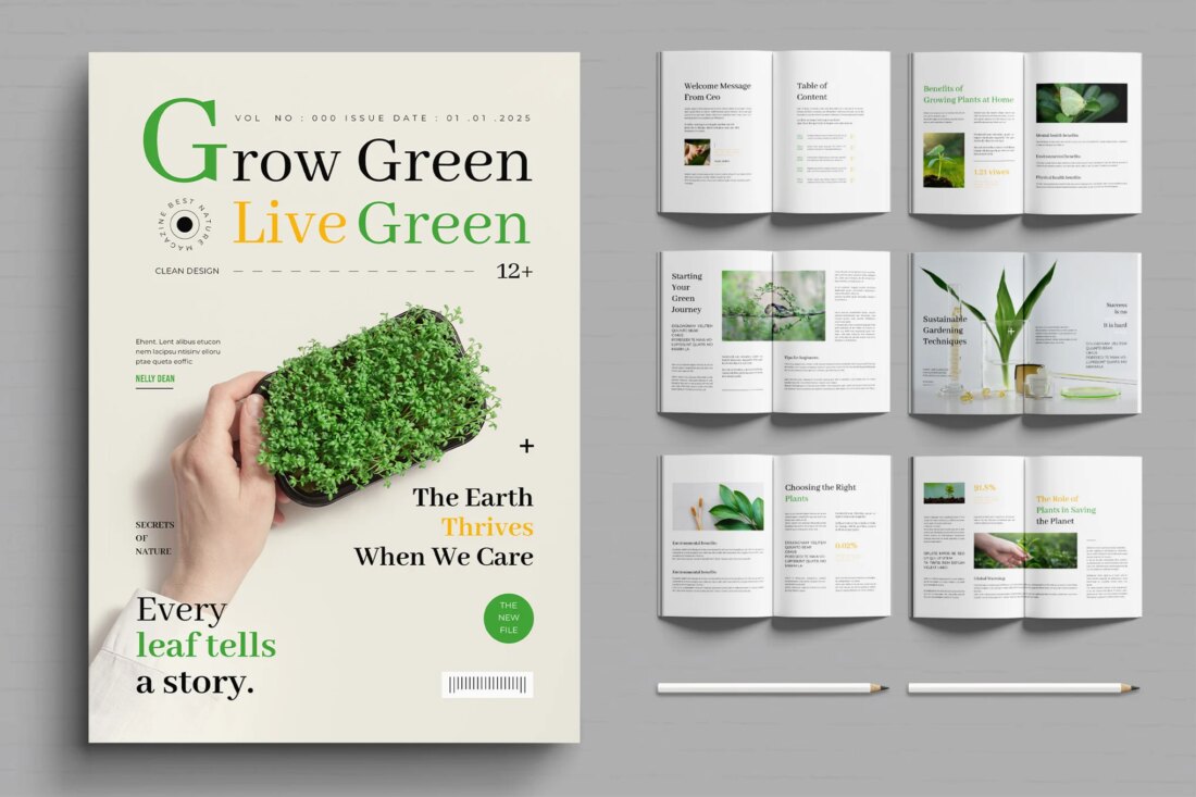 80+ Best InDesign Magazine Templates 2025 (Free & Premium) - Shack Design