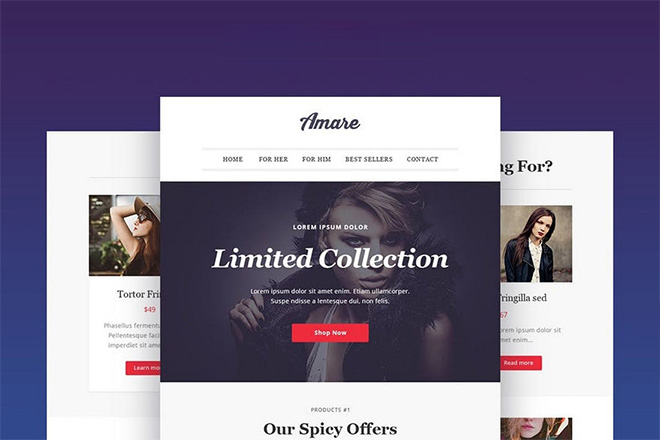 5 Mailchimp Email Templates Mailchimp Newsletter Template Email 