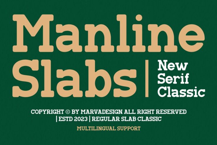 90+ Best Slab Serif Fonts of 2025 | Design Shack