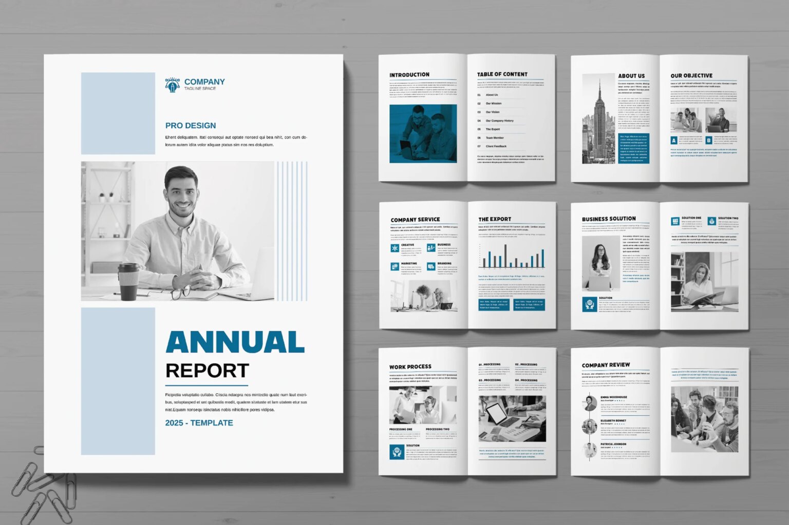 40+ Best Professional Business Report Templates (Word, PPT, InDesign ...