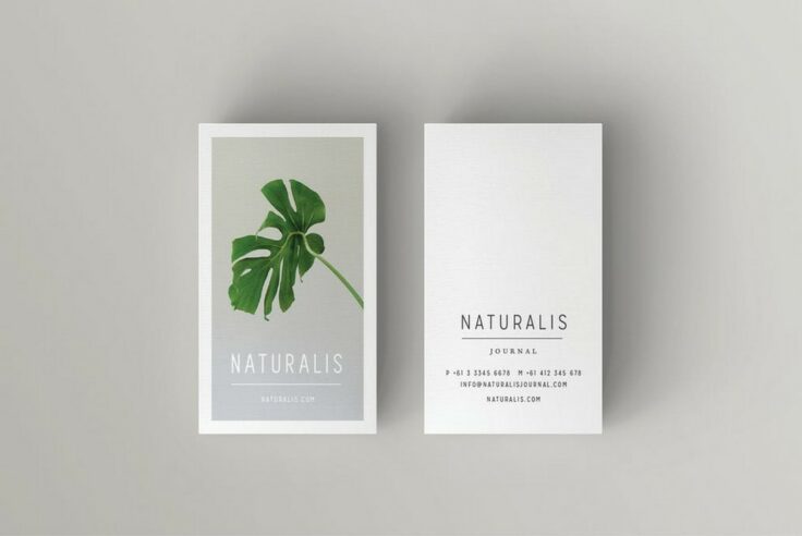 25+ Best Minimal Business Card Templates | Design Shack