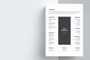35+ Best Minimal Resume Templates in 2025 | Design Shack