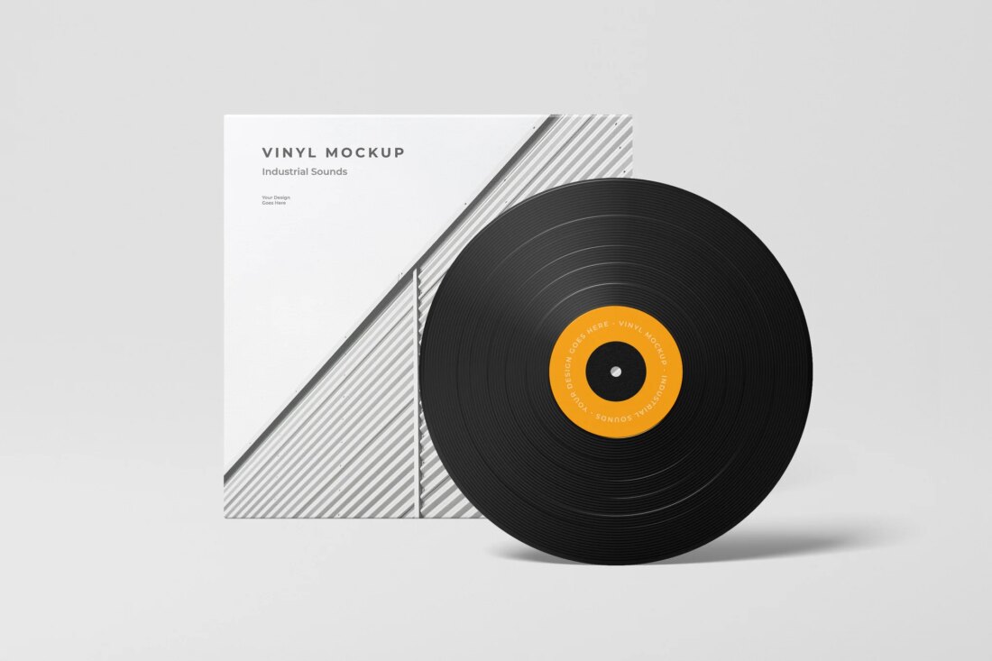 35+ Best Vinyl Mockups 2025