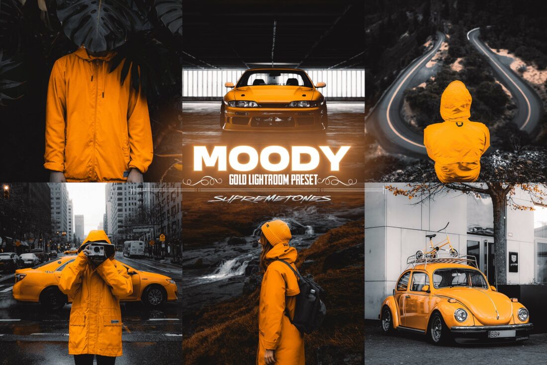 25+ Best Moody Lightroom Presets for Photographers | Design Shack