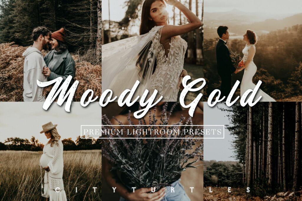 25+ Preset Moody Lightroom Terbaik untuk Fotografer - desainae.com