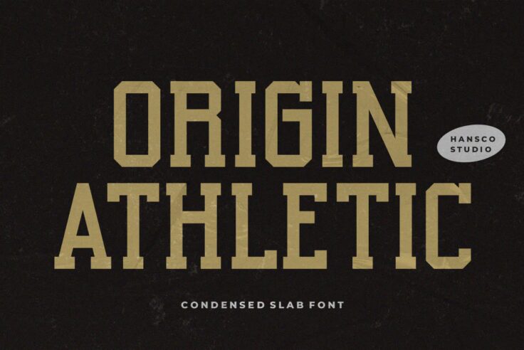 90+ Best Slab Serif Fonts of 2025 | Design Shack