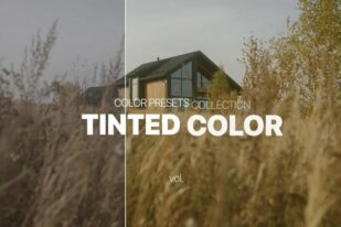 25+ Best Color Grading Presets for Premiere Pro | Design Shack