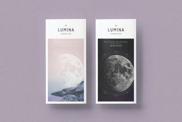 20+ Professional Brochure Templates & Designs | Design Shack