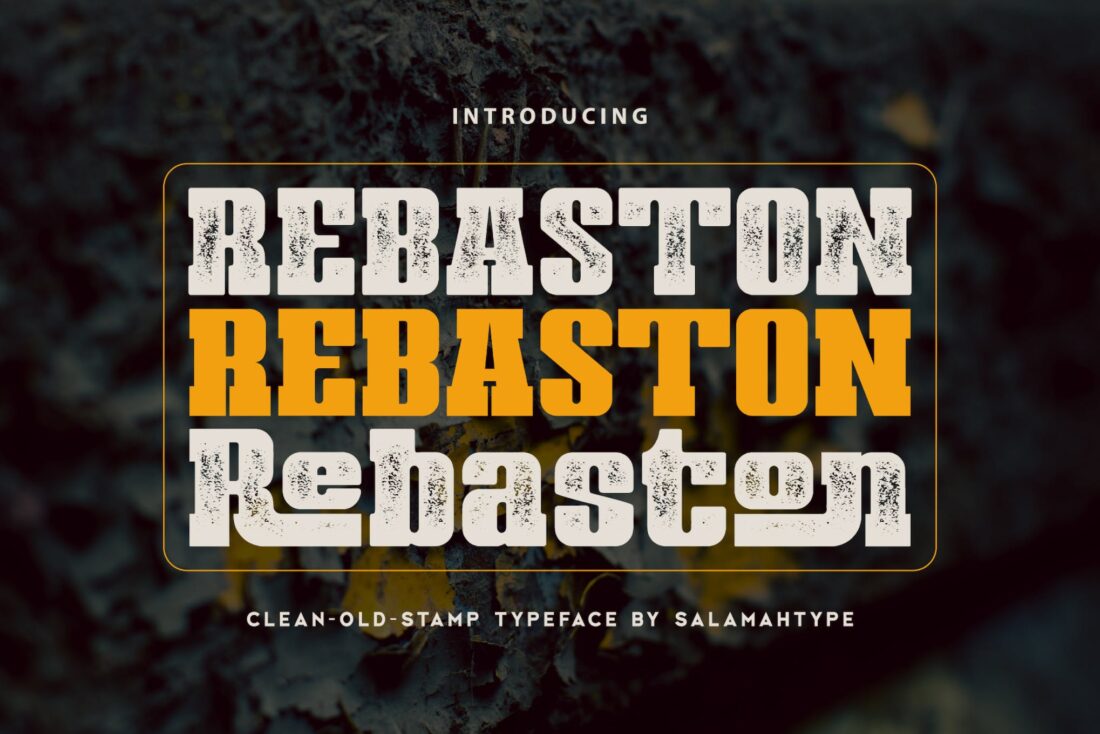 35+ Best Distressed Fonts (Free & Pro) | Design Shack