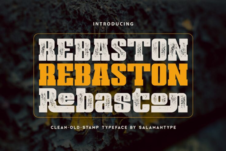 35+ Best Distressed Fonts (Free & Pro) | Design Shack