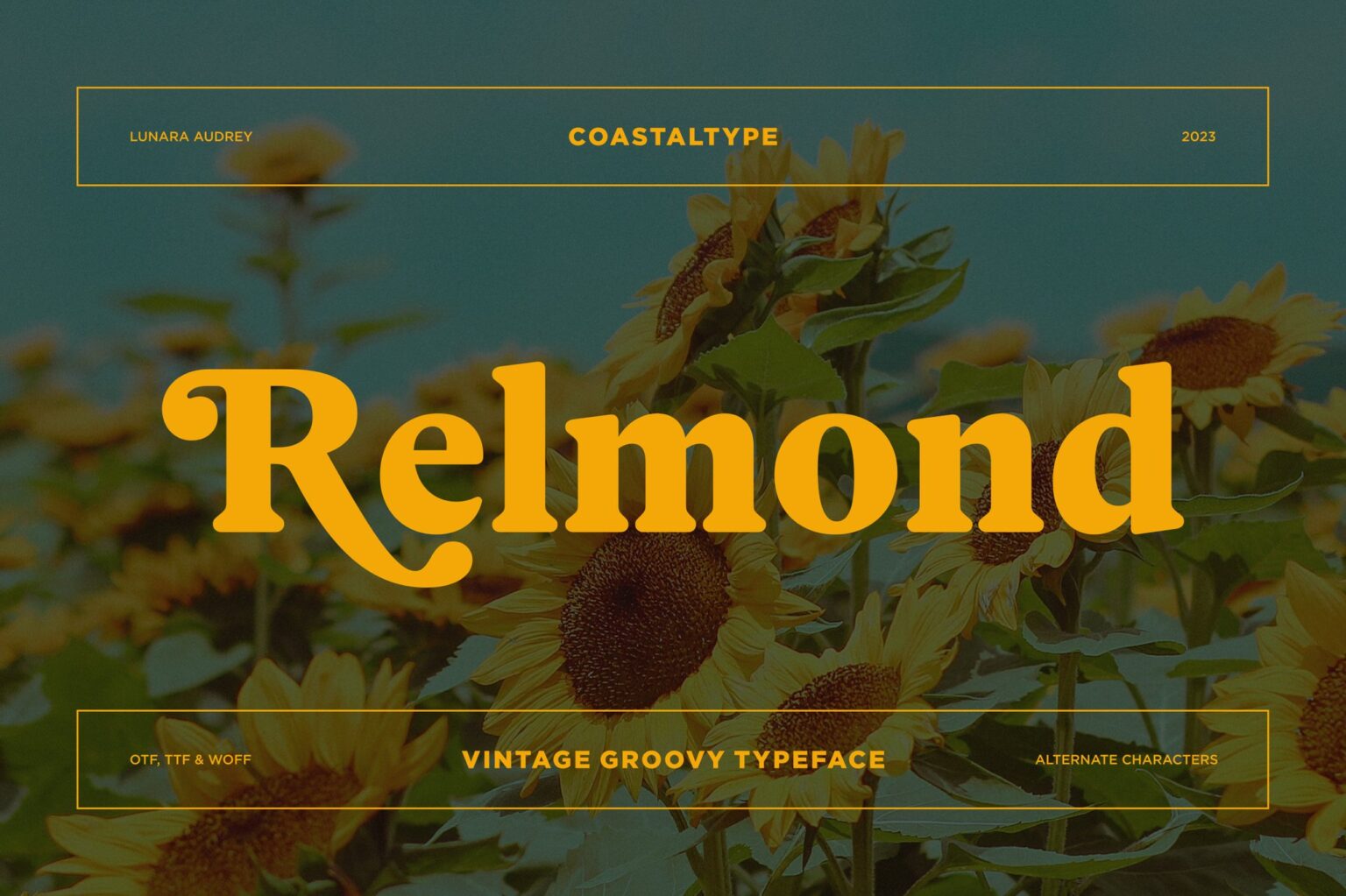 20+ Best Rounded Serif Fonts for Modern Aesthetics | Design Shack