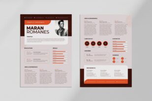 40+ Stylish Resume Color Schemes for 2025 | Design Shack