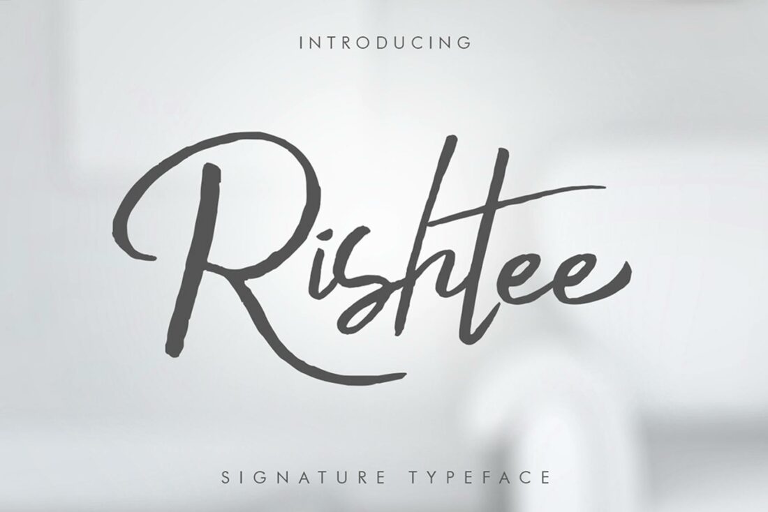 25+ Best Signature Fonts (For Word, Email & More) | Design Shack
