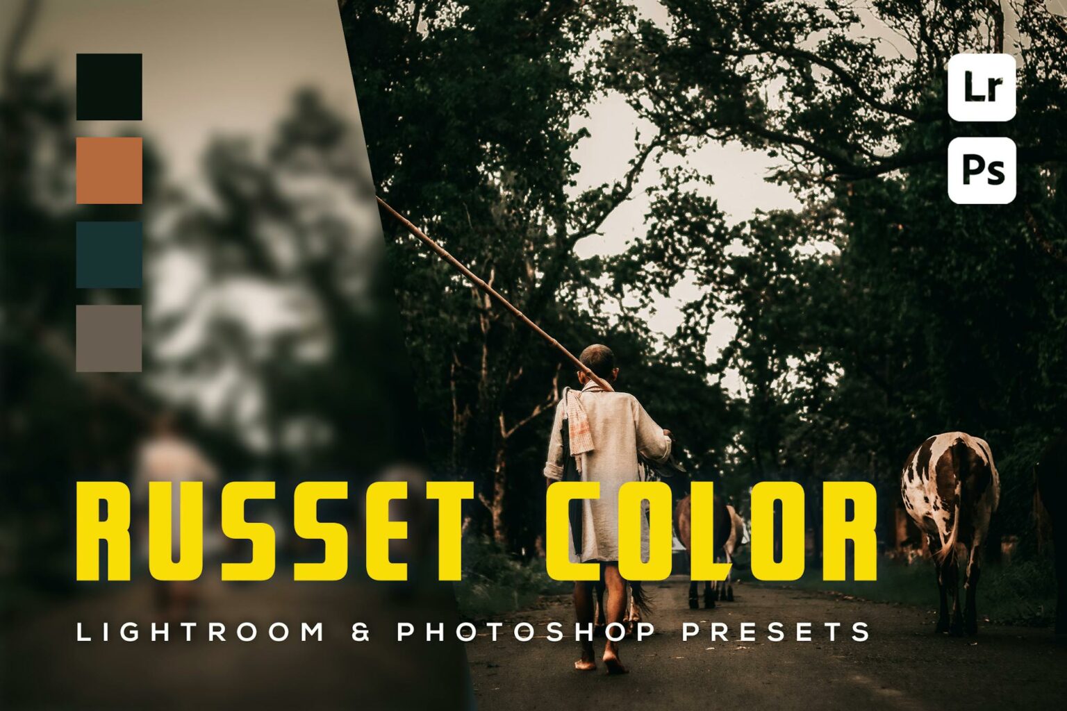 30+ Best Color Grading Lightroom Presets (Free & Pro) | Design Shack