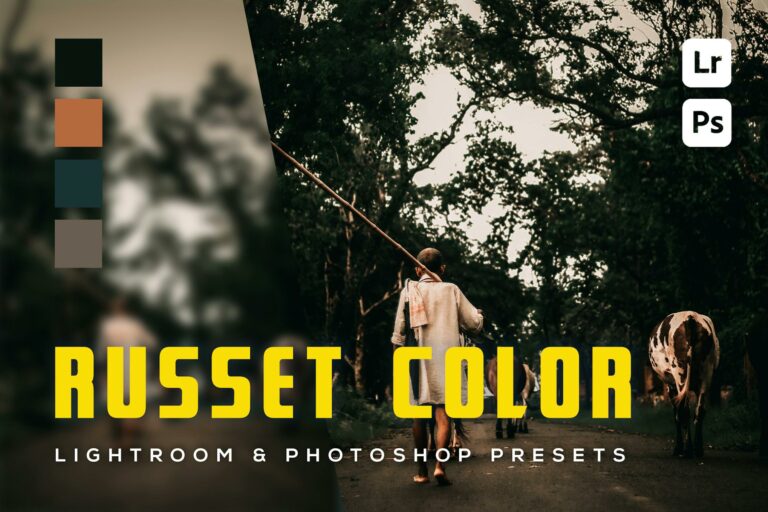 30+ Best Color Grading Lightroom Presets (Free & Pro) | Design Shack