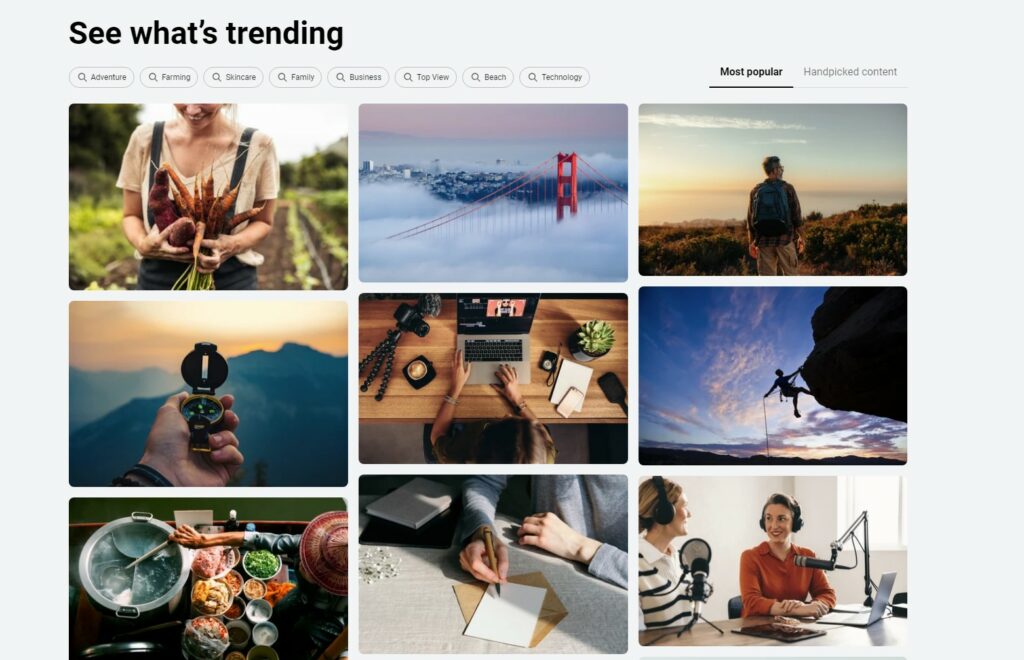 Envato Elements vs Shutterstock: Pros, Cons & Differences | Design Shack