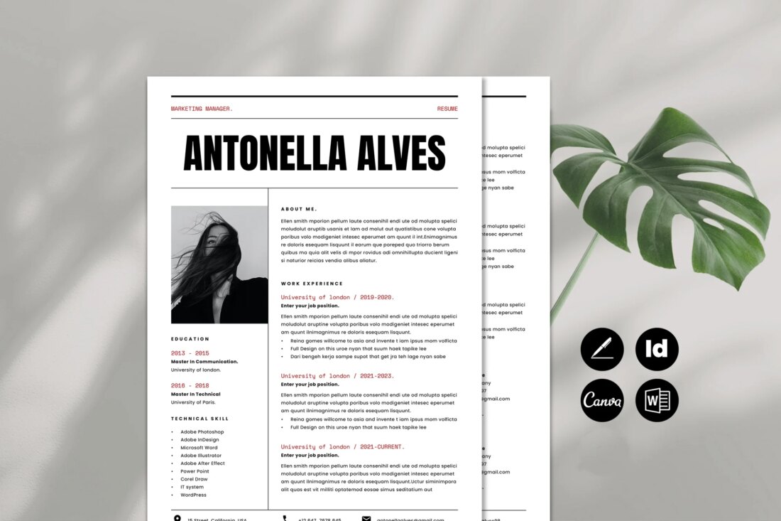 65+ Best Pages Resume & CV Templates 2025 | Design Shack