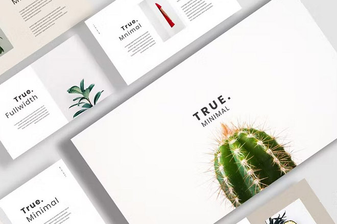 150+ Best Minimal & Simple Presentation Templates | Design Shack