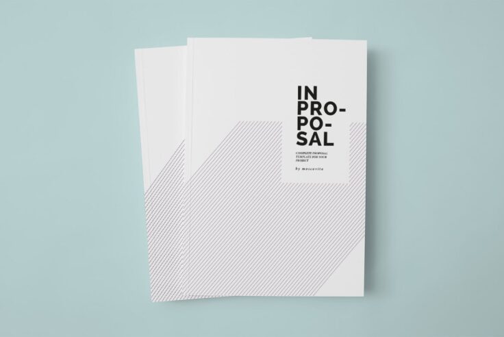 35+ Best InDesign Proposal Templates (Business + Project Proposals ...