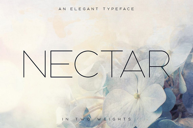 20+ Best Thin & Skinny Fonts | Design Shack