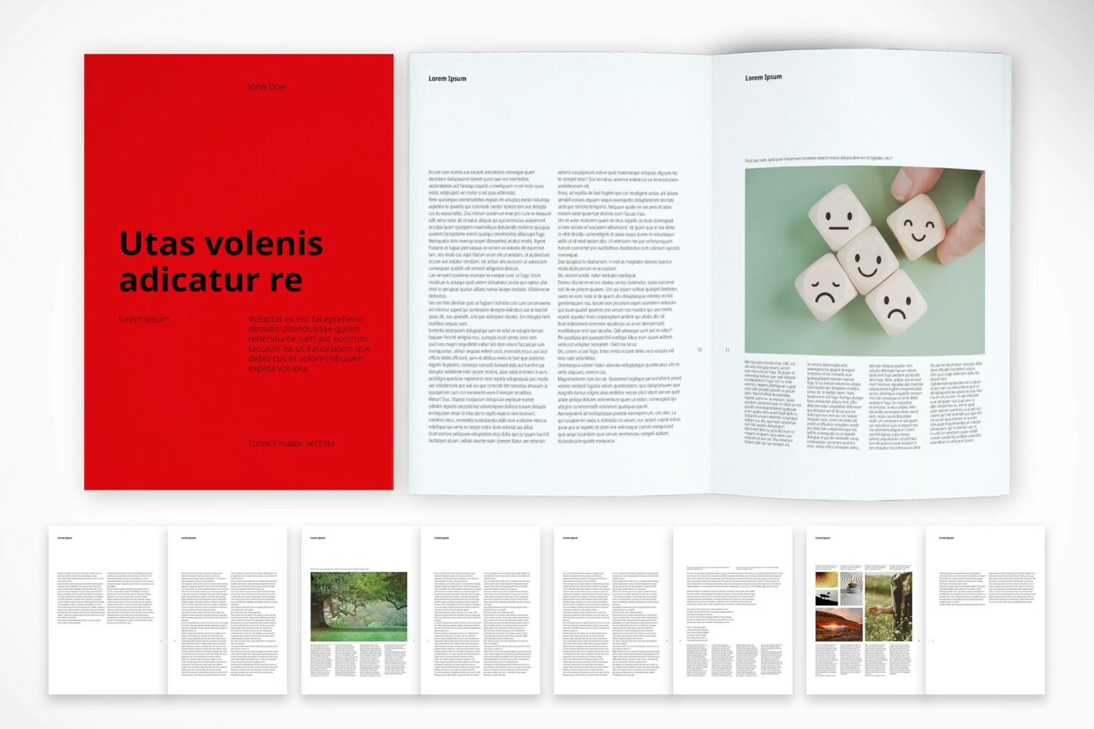 45+ Best InDesign Book Templates 2025 | Design Shack