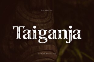15+ Best Ethnic & Indian Style Fonts
