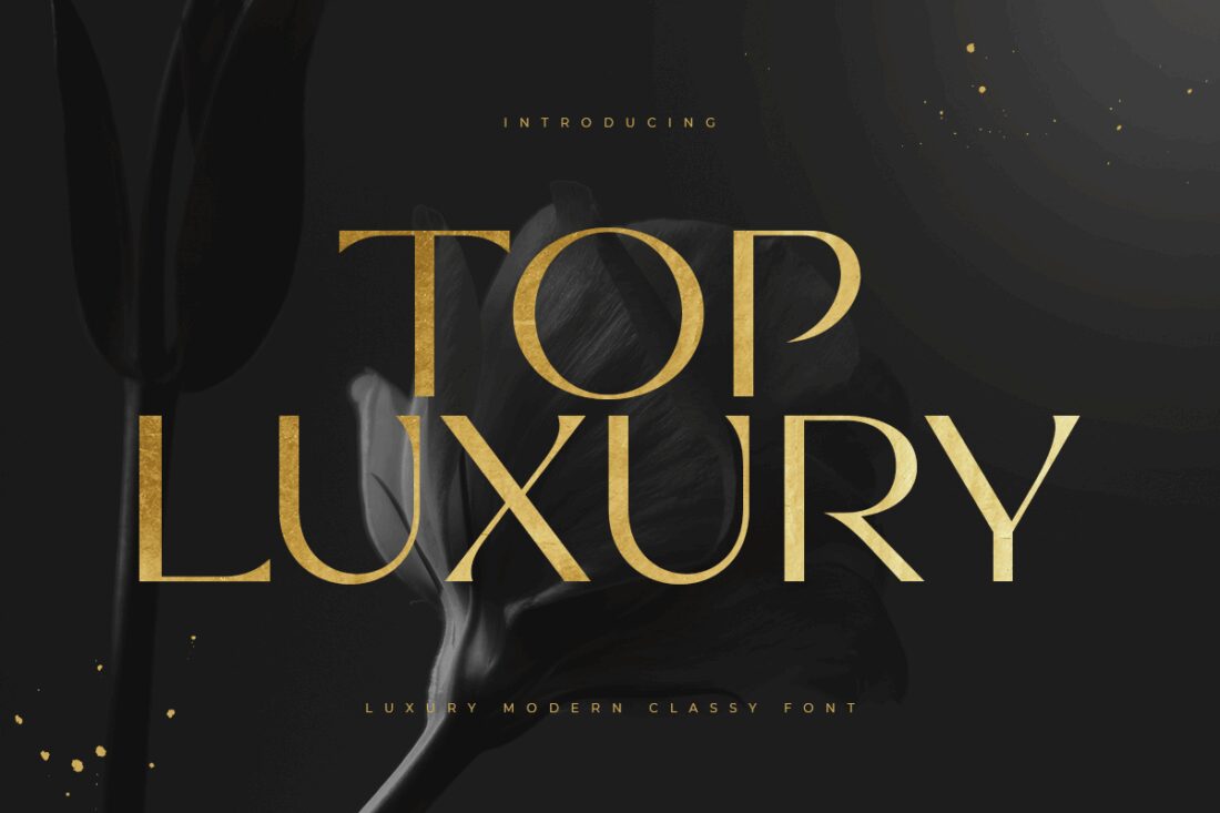 50+ Best Luxury & Elegant Fonts in 2026 (Free & Pro) | Design Shack