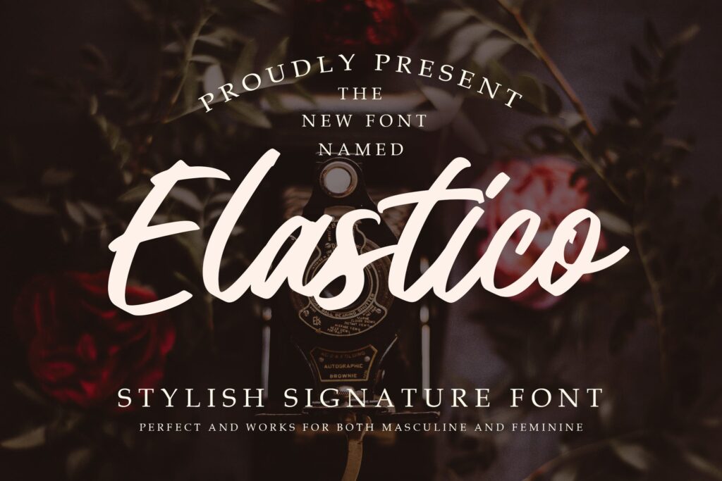 40+ Best Fonts for T-Shirts (With Unique Design & Style) | Design Shack