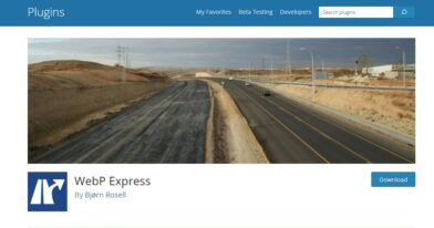 What Is a WebP File? Pros, Cons & How to Convert | Design Shack