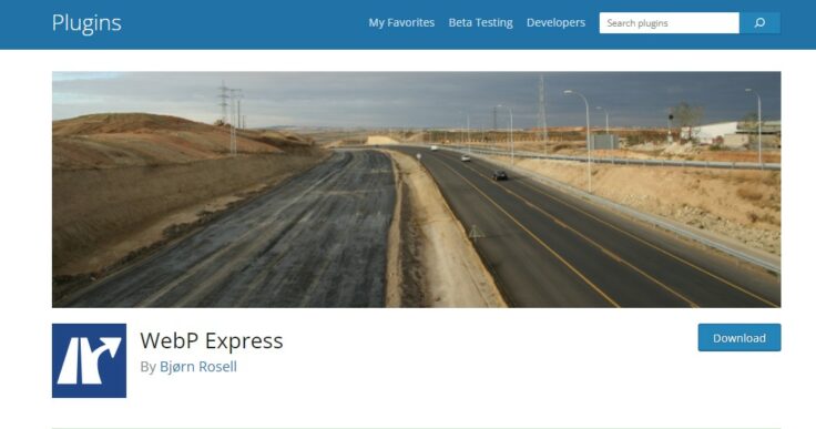 What Is a WebP File? Pros, Cons & How to Convert | Design Shack