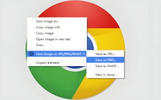 What Is a WebP File? Pros, Cons & How to Convert | Design Shack