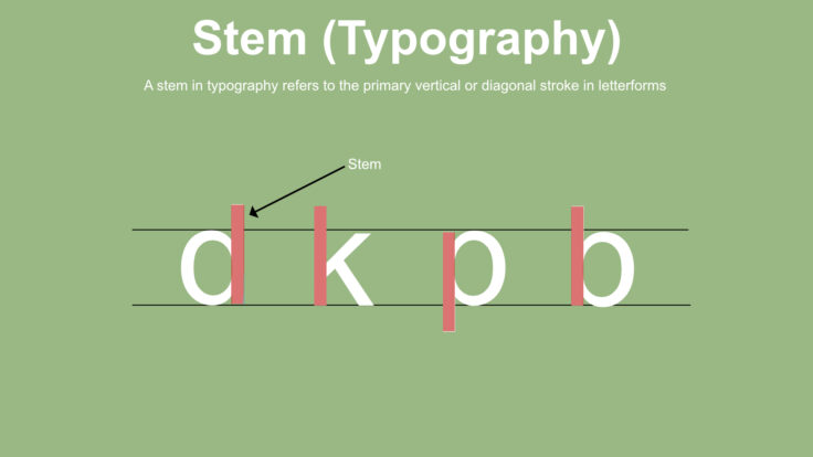 What Is Stem in Typography? | Design Shack