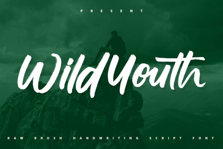 30+ Best Paint Brush Fonts for Creative Projects (Free & Pro) | Design ...