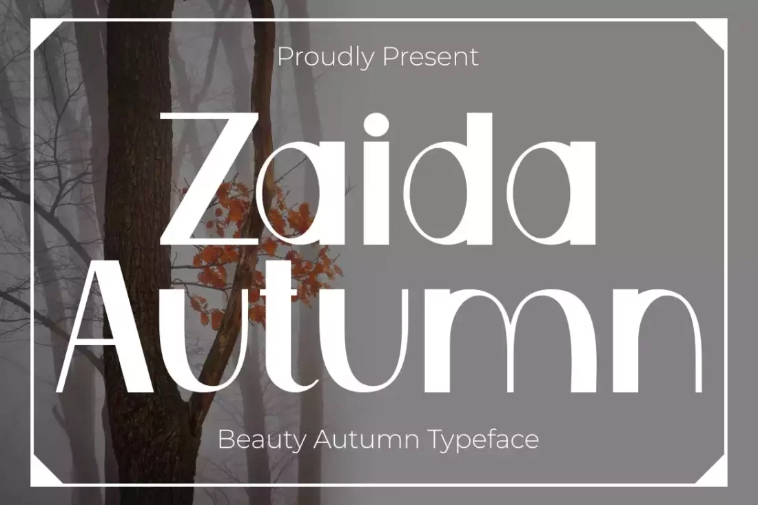 Zaida Font | Design Shack